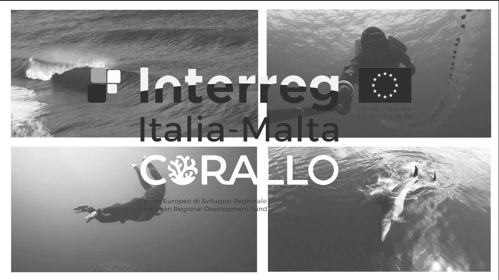 CORALLO Teaser - CORALLO